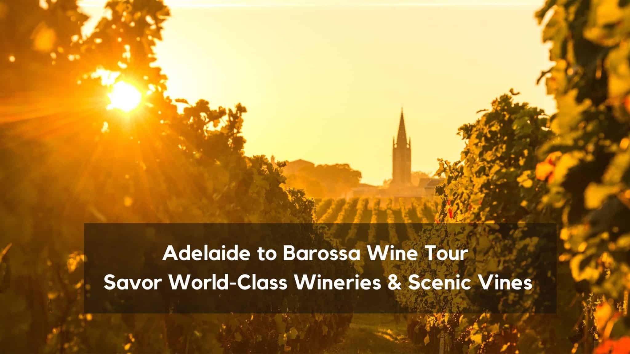 AFL Gather Round 2025: Best Transport Options in the Barossa Valley ...